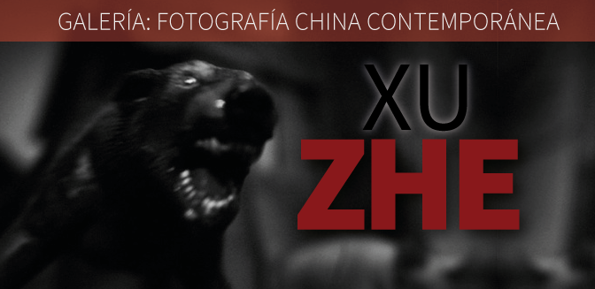 XU_ZHE_GAL | Oscar en Fotos