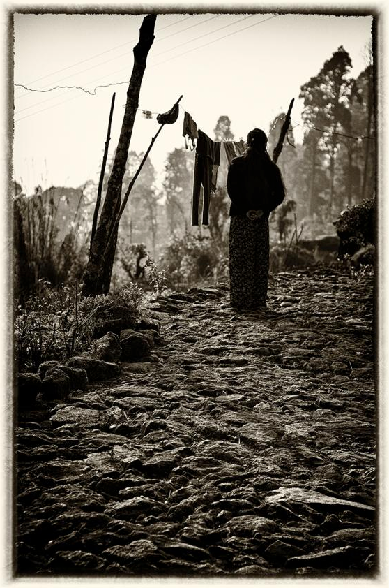 Susan Kessler, de la serie «Darjeeling Tea Estate» | Oscar en Fotos