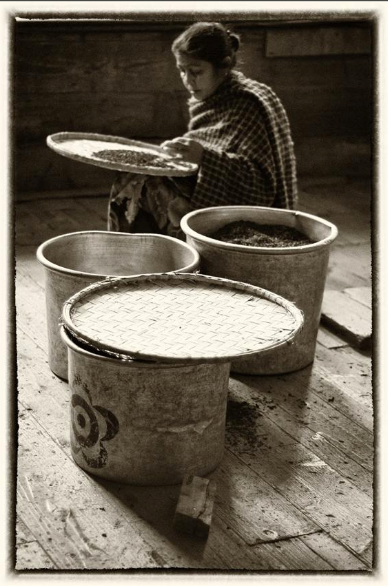 Susan Kessler, de la serie «Darjeeling Tea Estate» | Oscar en Fotos