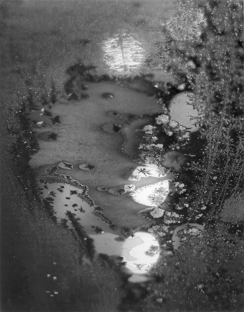 Galería: Minor White | Oscar en Fotos