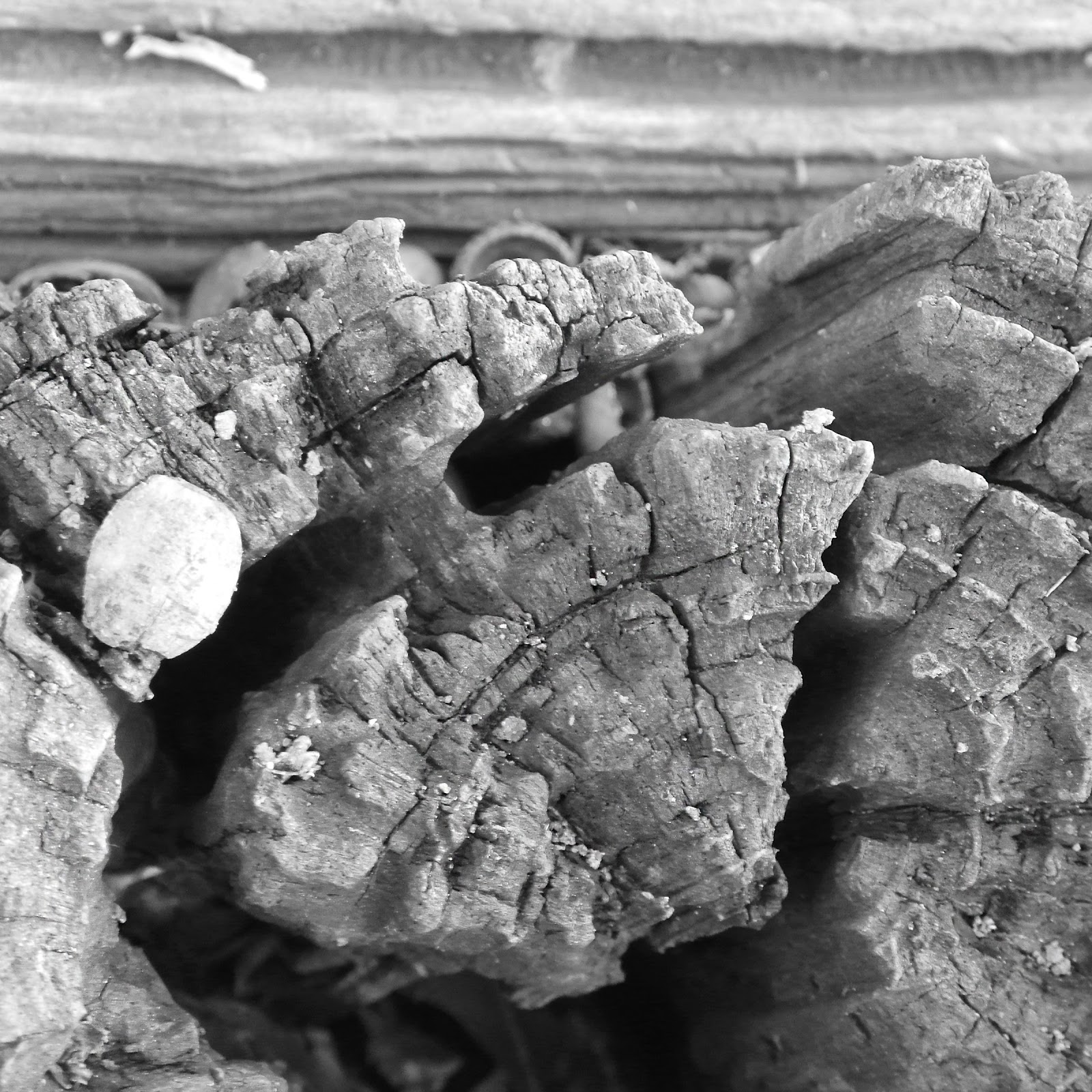 Galería: Aaron Siskind | Oscar en Fotos