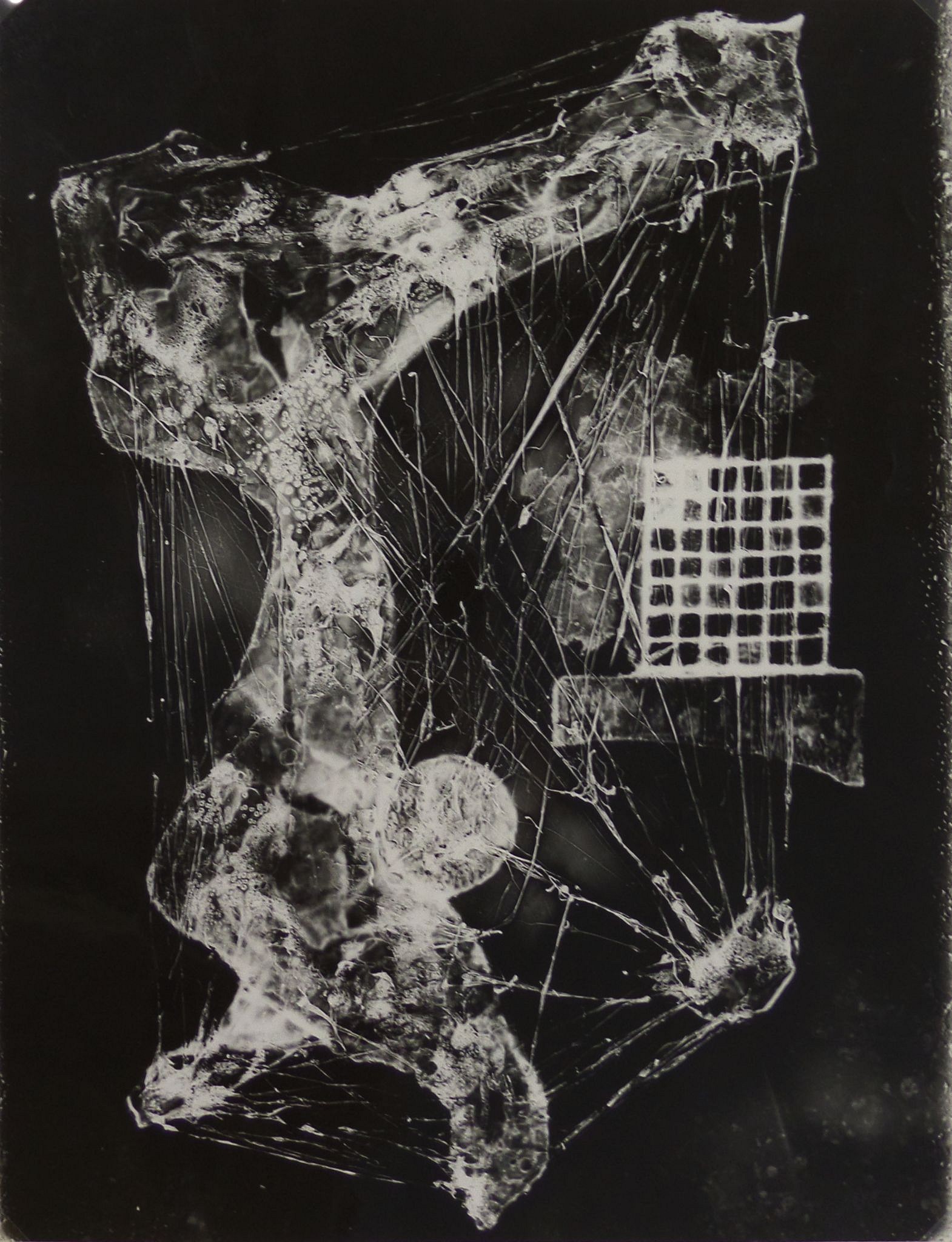 Galería: Heinz Hajek-Halke | Oscar en Fotos