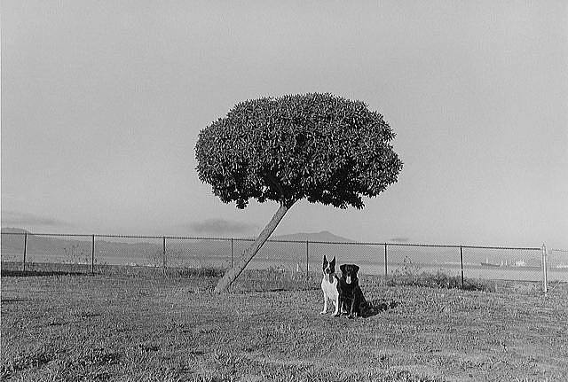 Galería: Henry Wessel | Oscar en Fotos