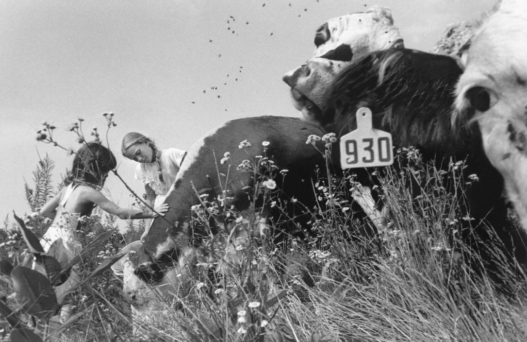 Larry_Towell_The_World_from_My_Front_Porch_29 | Oscar en Fotos