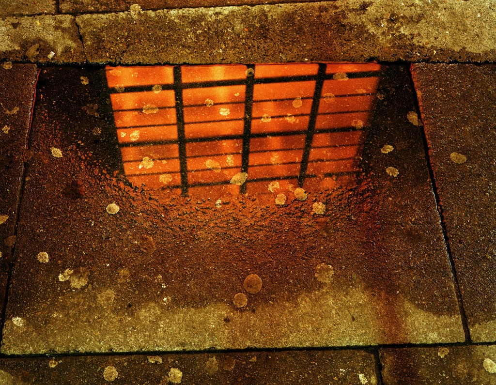 Rut Blees Luxemburg: Galería + Mini Bio | Oscar en Fotos