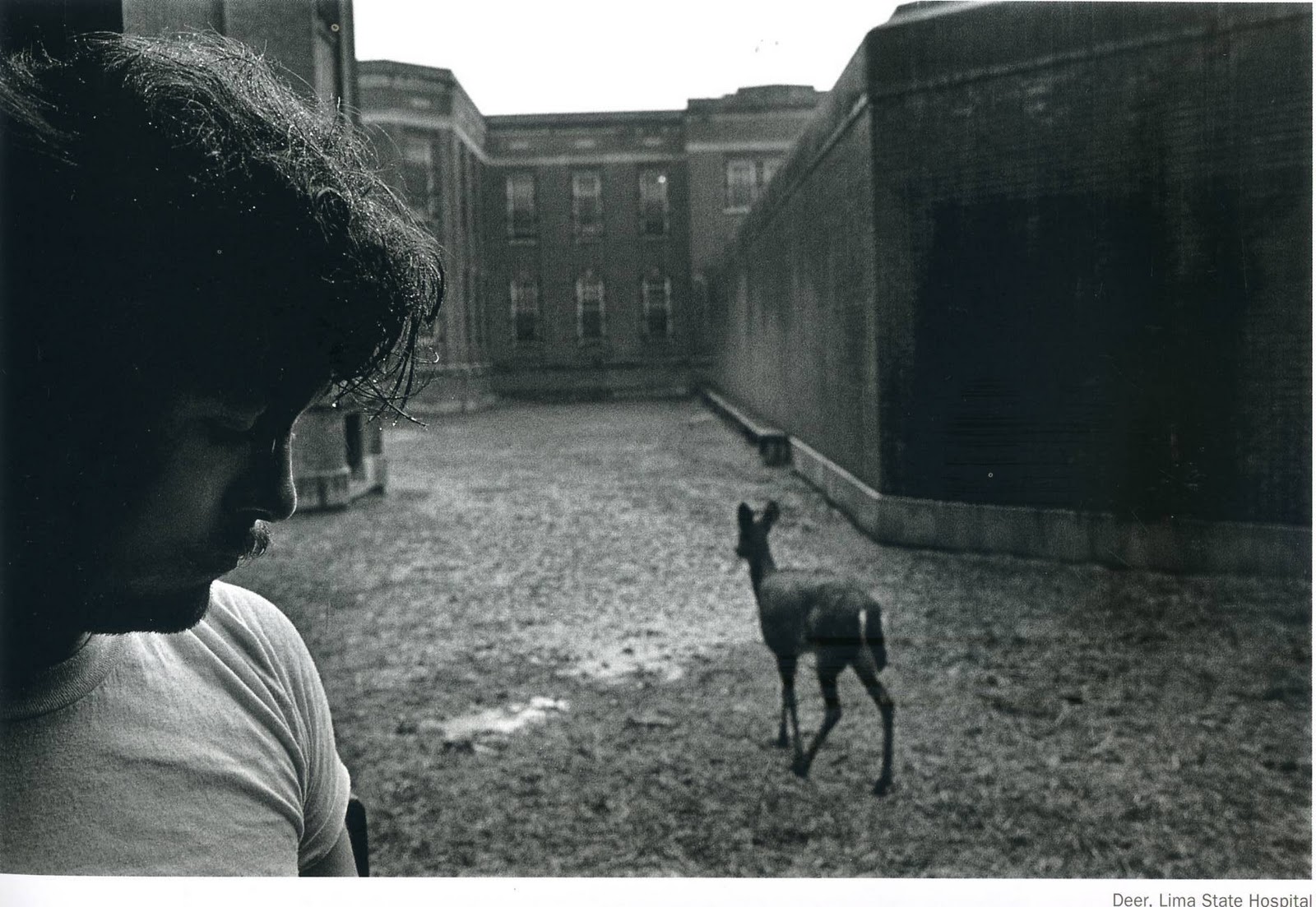 eugene_richards_137 deer, lima state hospital | Oscar en Fotos