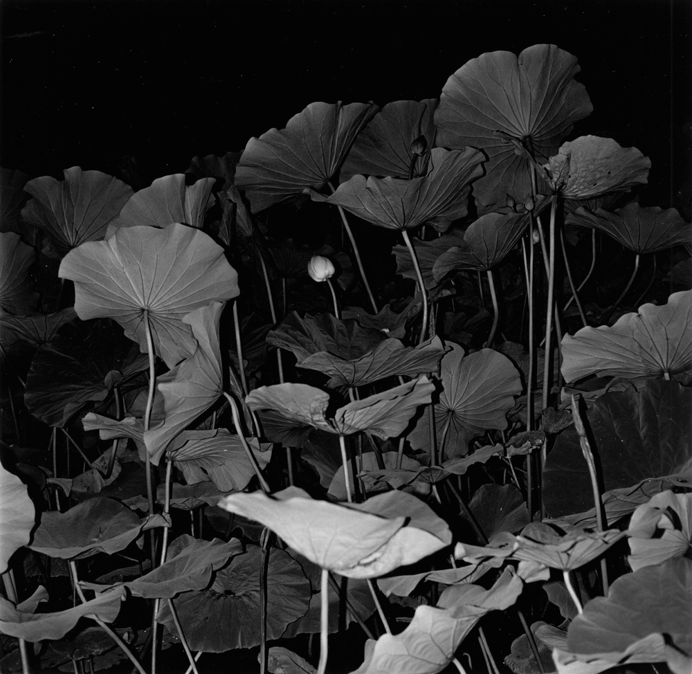 issei_suda_11 | Oscar en Fotos